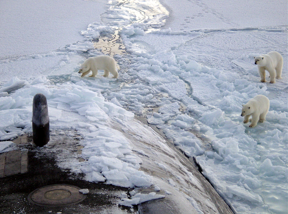 Cold War Over Arctic Heats Up Amid Melting Polar Ice - UNICORN RIOT
