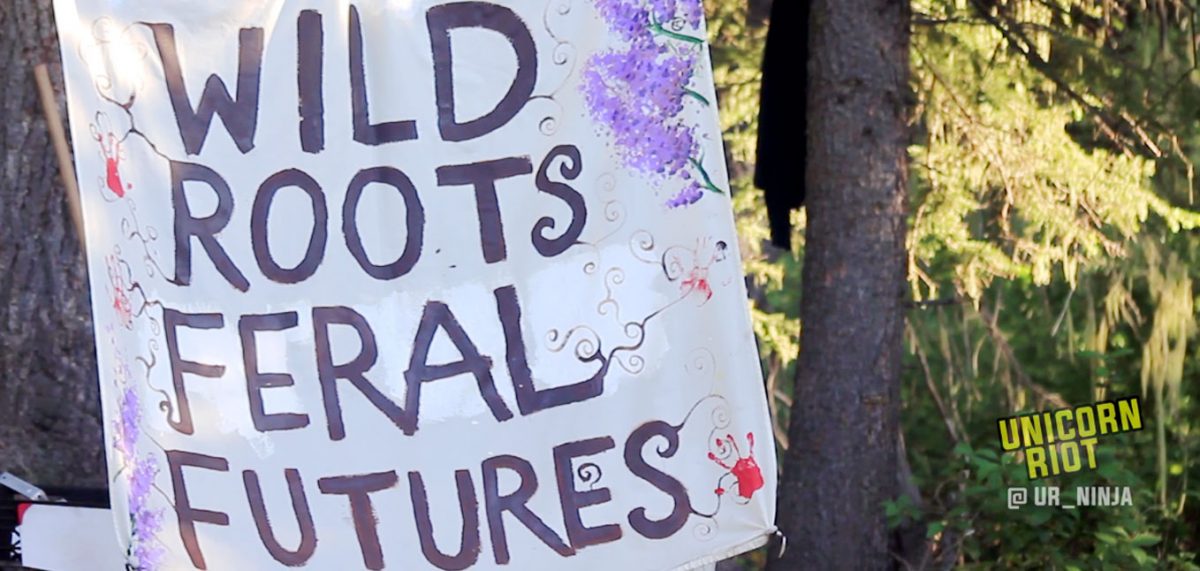 Wild Roots Camp Explores Off-Grid Alternatives - UNICORN RIOT