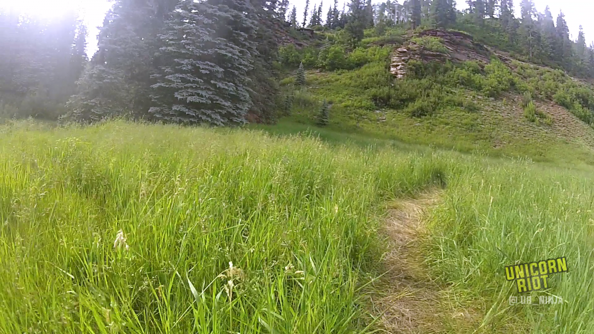 Wild Roots Camp Explores Off-Grid Alternatives - UNICORN RIOT