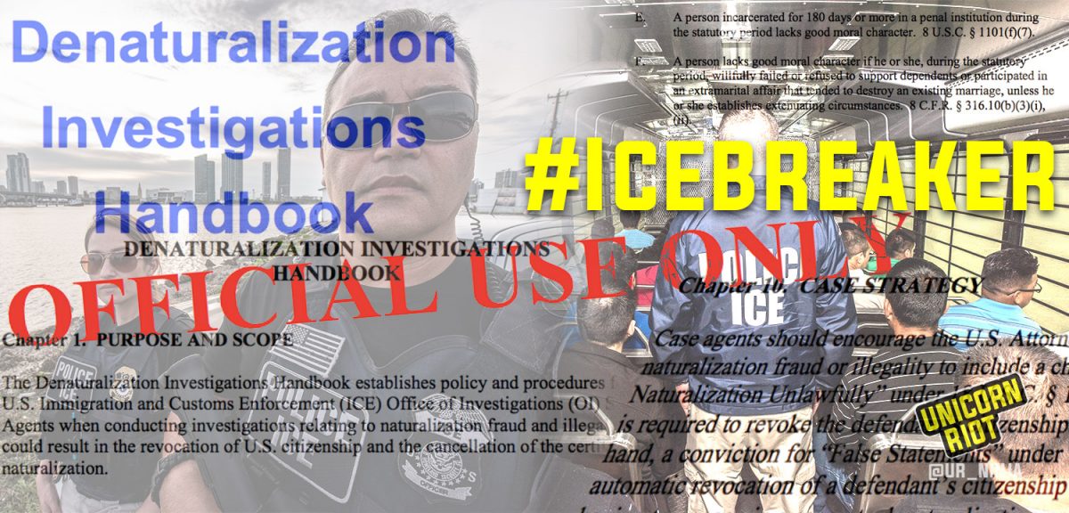 Icebreaker Pt 1 - Secret Homeland Security ICE/HSI Manual for Stripping ...