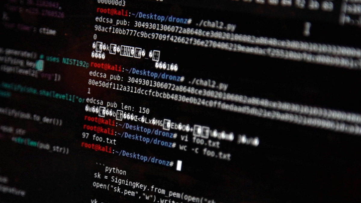 Hacking Drones at DEFCON: "All Skyz Belong To Us" - UNICORN RIOT