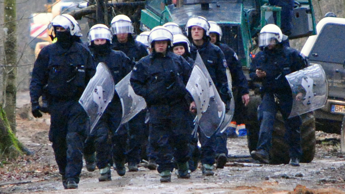 Police Move to Clear Activists from Ancient Forest on Behalf of Coal ...