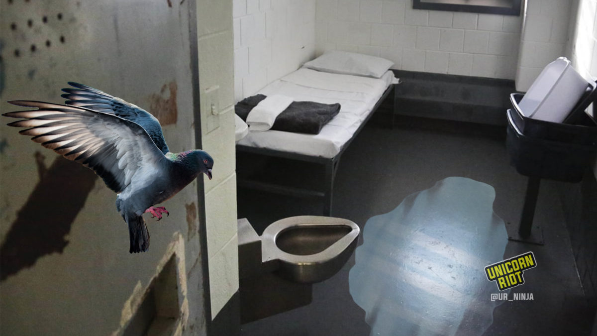 BOP Blames Bird for Eric King's Property Destruction During Federal ...