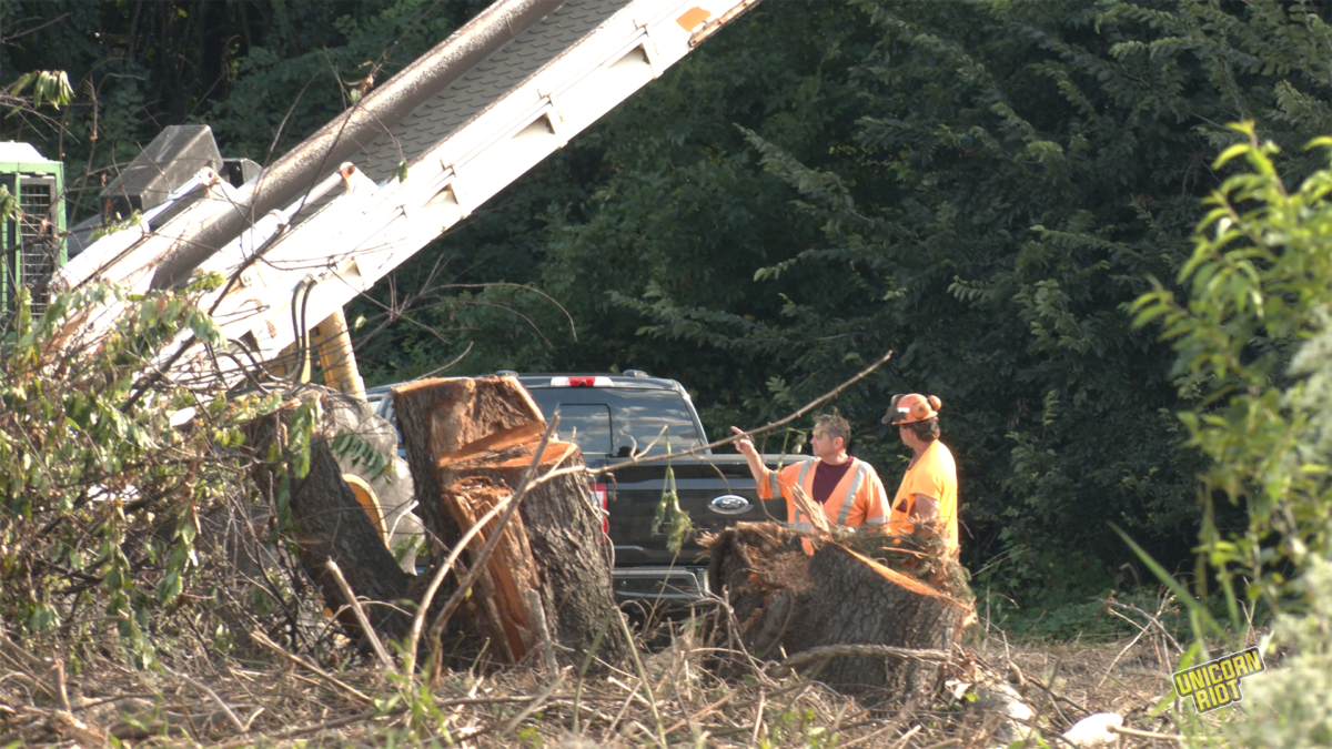 South Philly FDR Park Meadows Face "Blitzkrieg" of Quick Destruction ...