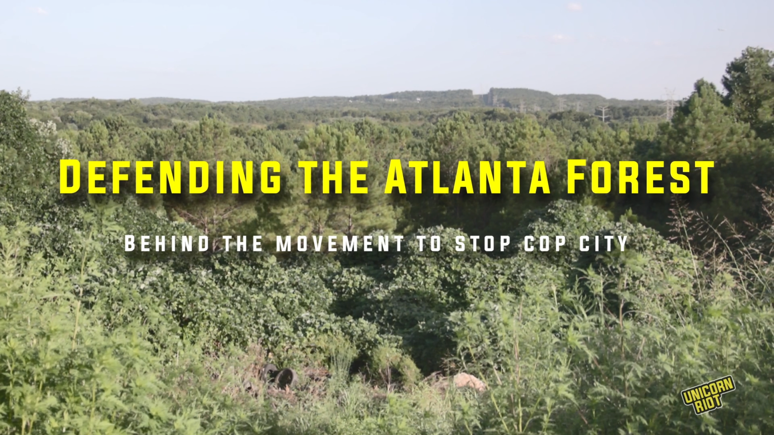 [Mini Doc] Defending the Atlanta Forest: Behind the Movement to Stop ...